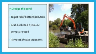 Improvement and restoration of ponds | PPTX