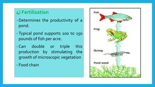 Improvement and restoration of ponds | PPTX