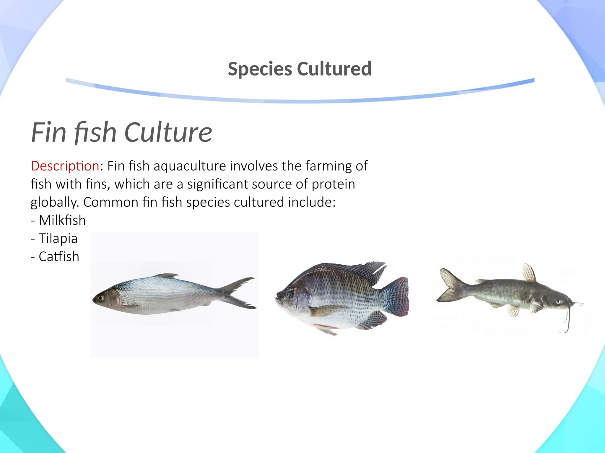 Aquaculture - General Classification (Introduction).pptx