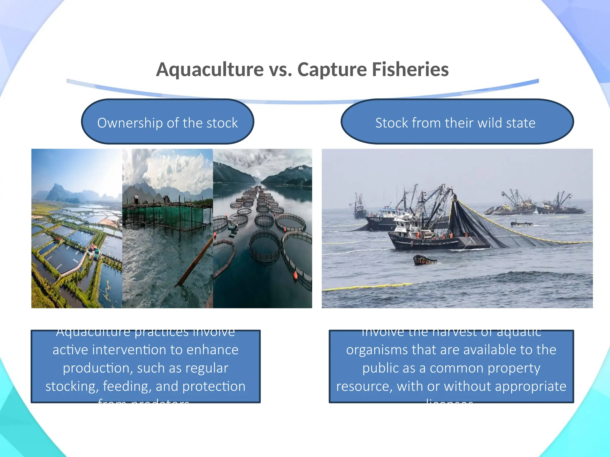 Aquaculture - General Classification (Introduction).pptx