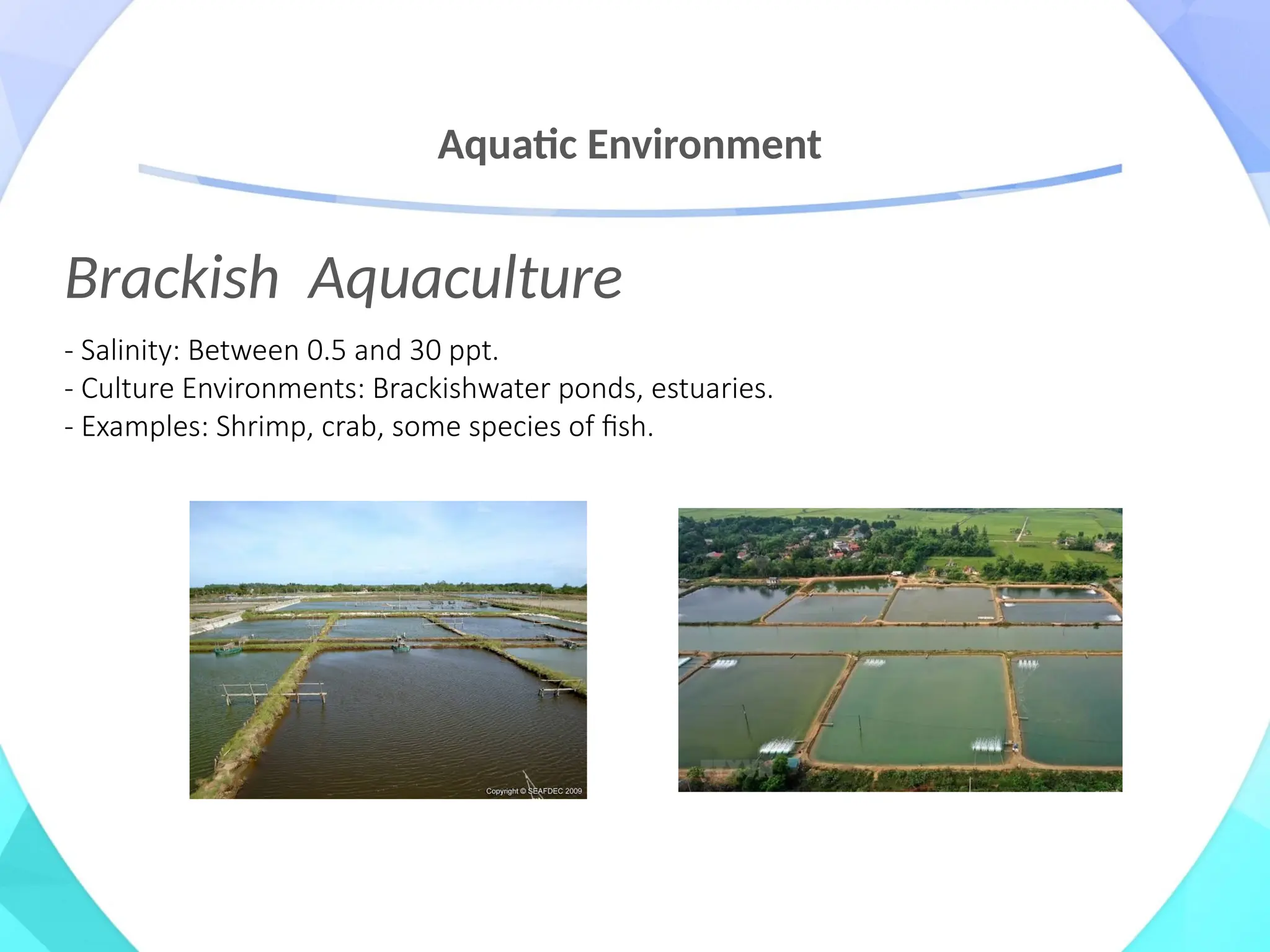 Aquaculture - General Classification (Introduction).pptx