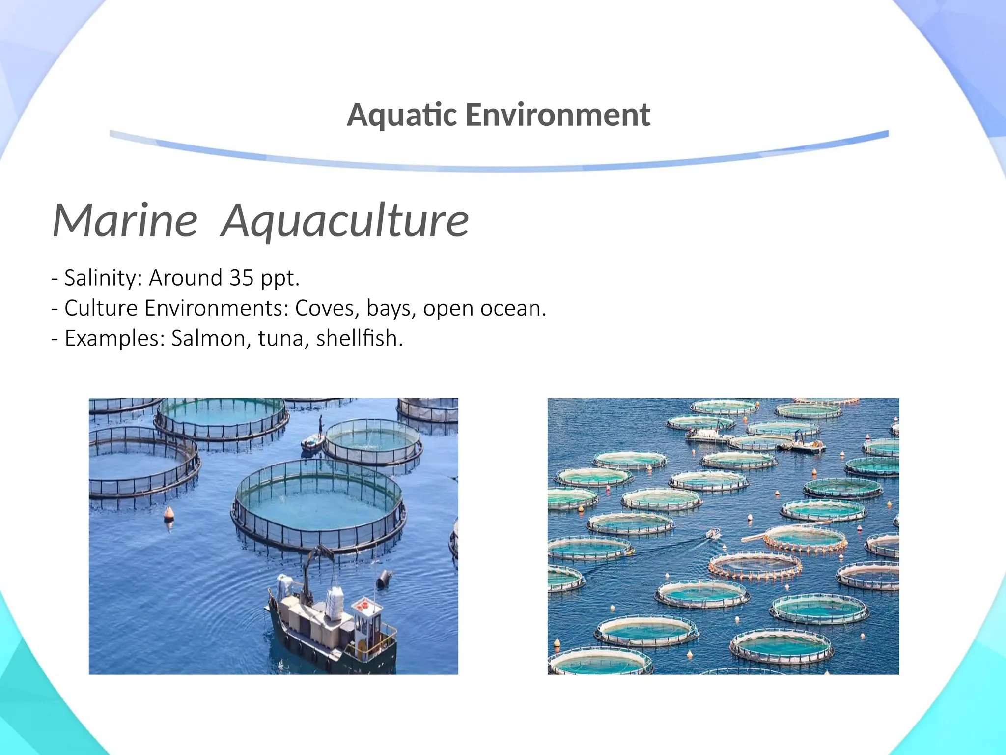 Aquaculture - General Classification (Introduction).pptx