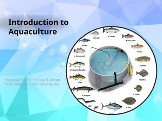 Aquaculture - General Classification (Introduction).pptx | Agriculture ...