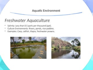 Aquaculture - General Classification (Introduction).pptx