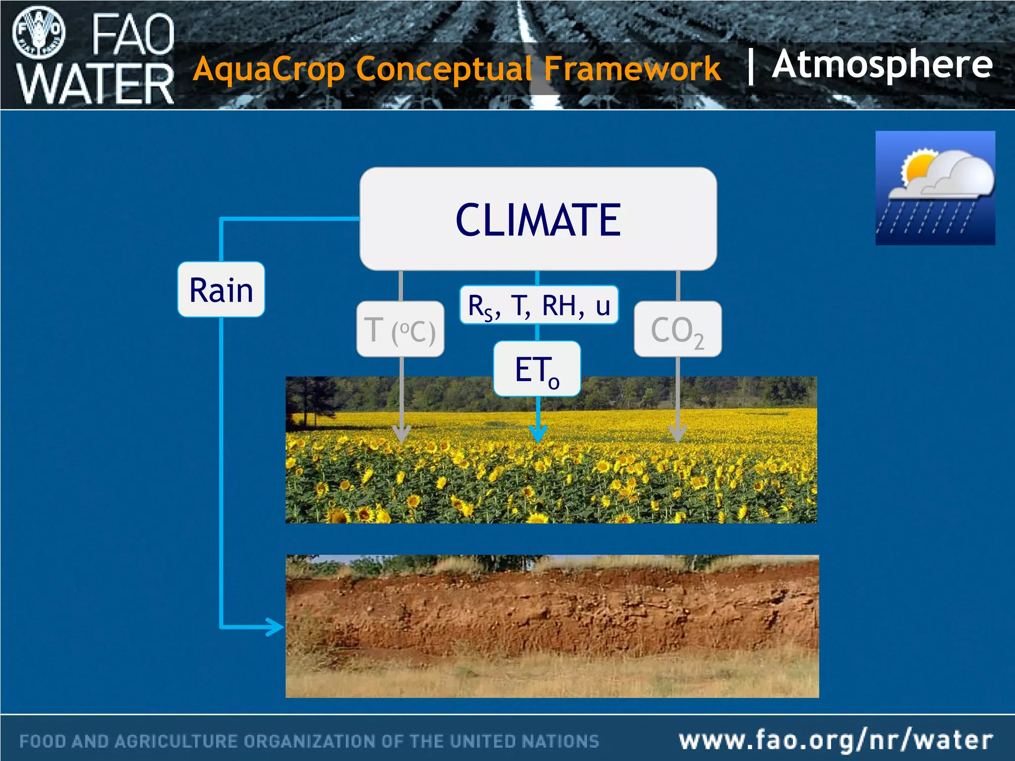 Soil information demand for crop simulation, Introducing AquaCrop ...