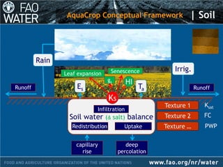 Soil information demand for crop simulation, Introducing AquaCrop ...