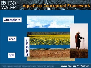 Soil information demand for crop simulation, Introducing AquaCrop ...