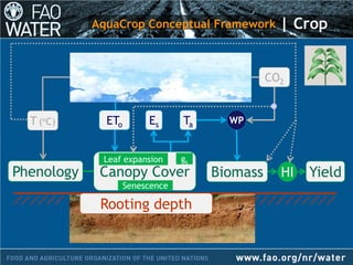 Soil information demand for crop simulation, Introducing AquaCrop ...