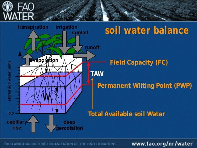 Soil information demand for crop simulation, Introducing AquaCrop - P…