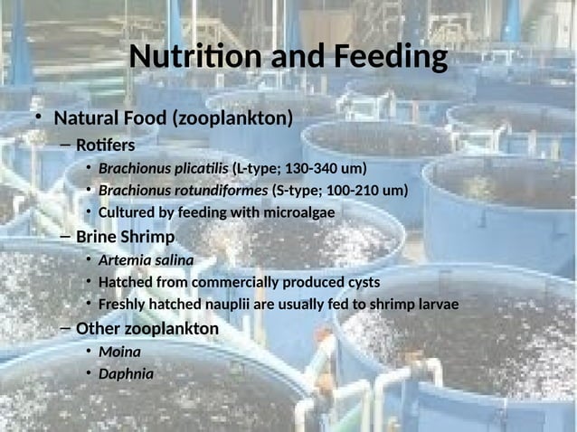 Aquaculture-1-16-17. PowerPoint Presentations | PPT
