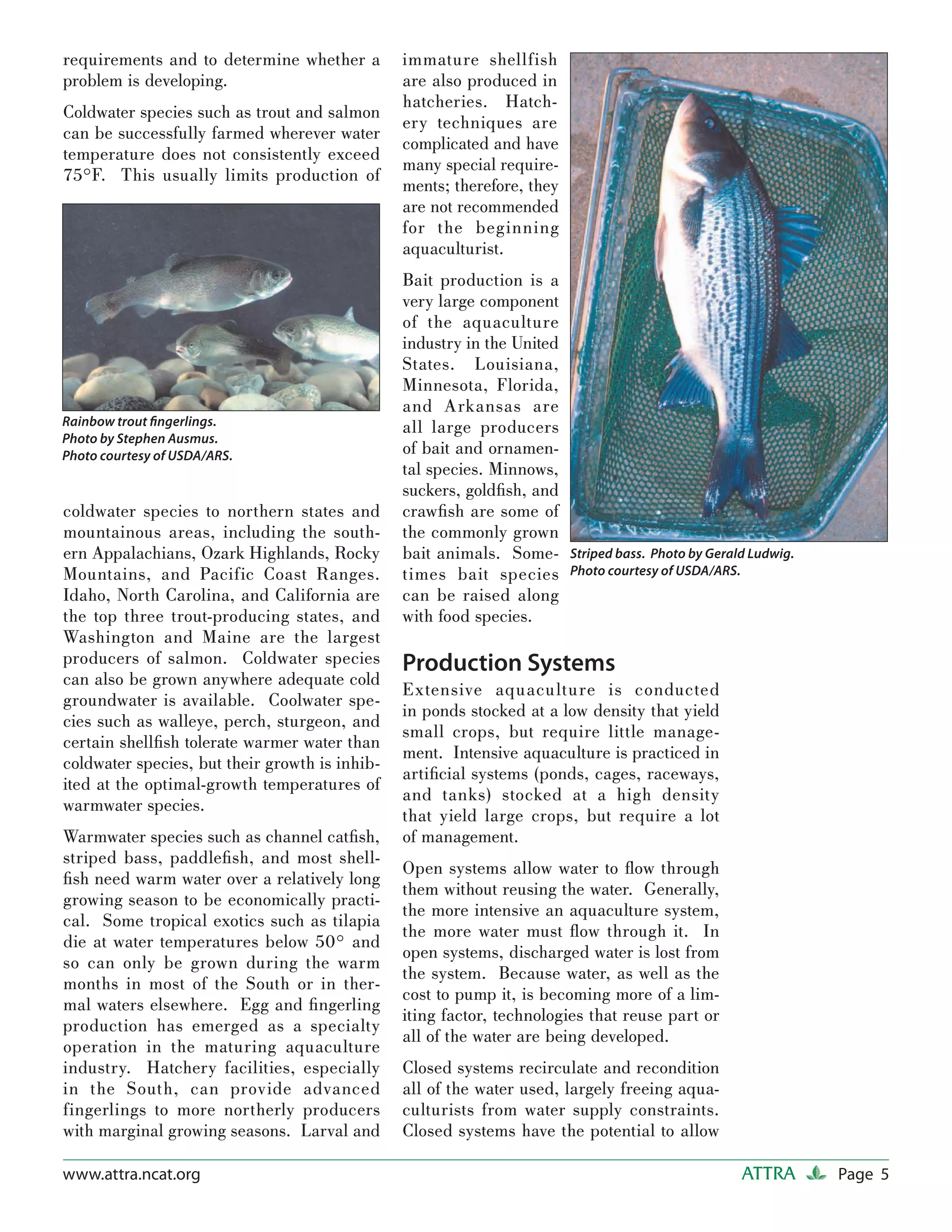 Aquaculture Enterprises: Considerations and Strategies | PDF
