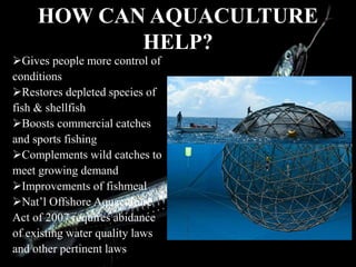 Austin Journal of Aquaculture and Marine Biology | PPT