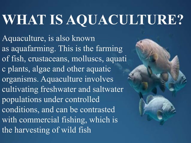 Austin Journal of Aquaculture and Marine Biology | PPT