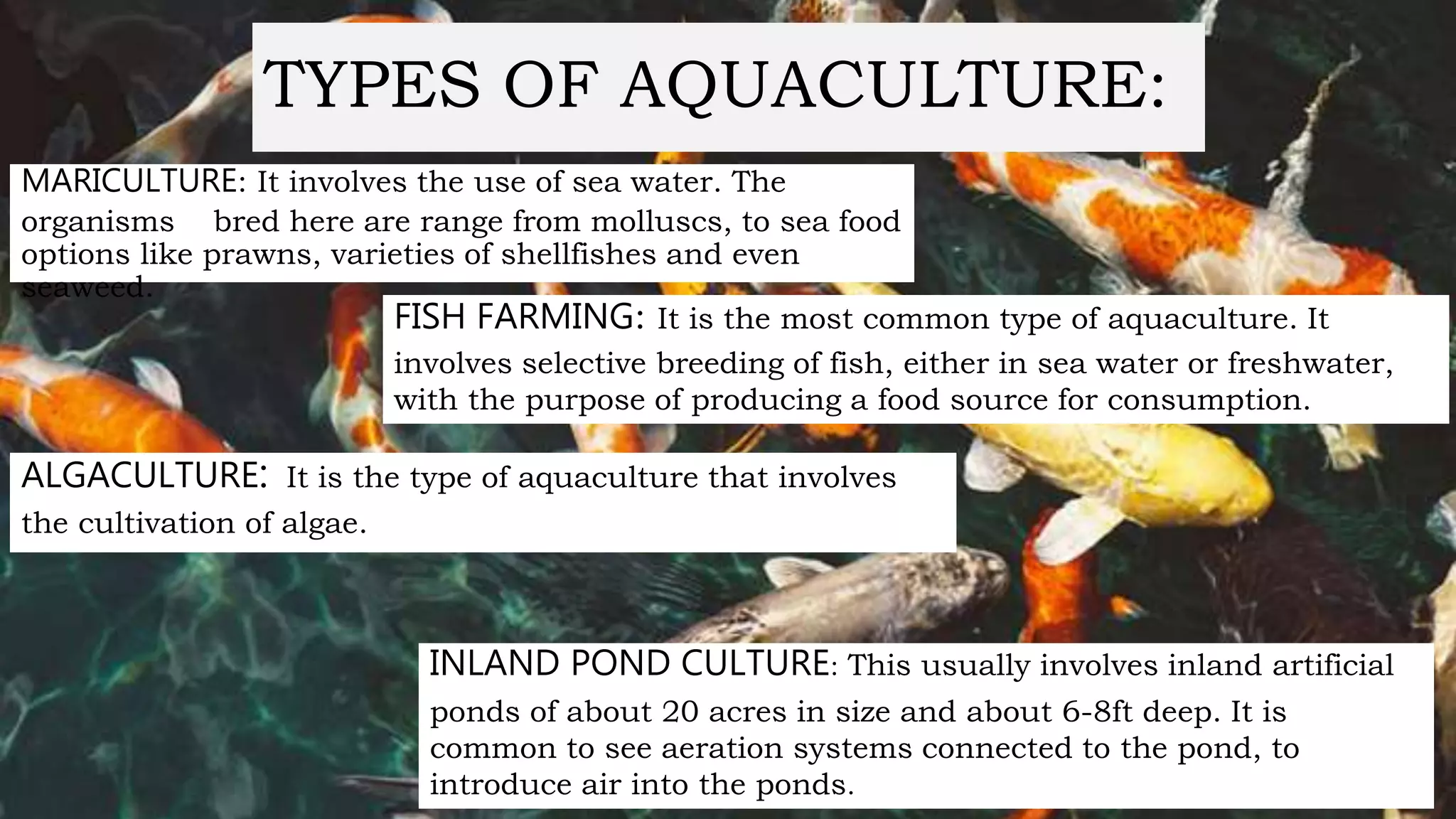 Aquaculture | PPTX