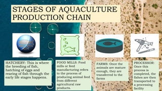Aquaculture | PPTX