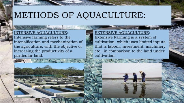 Aquaculture | PPTX | Zoos & Aquariums | Attractions