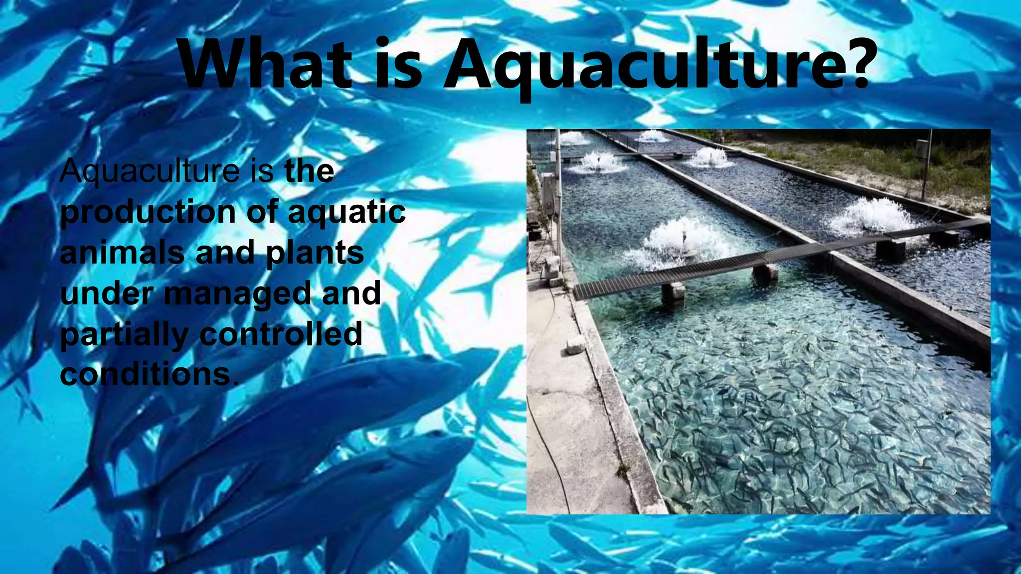 Aquaculture | PPTX