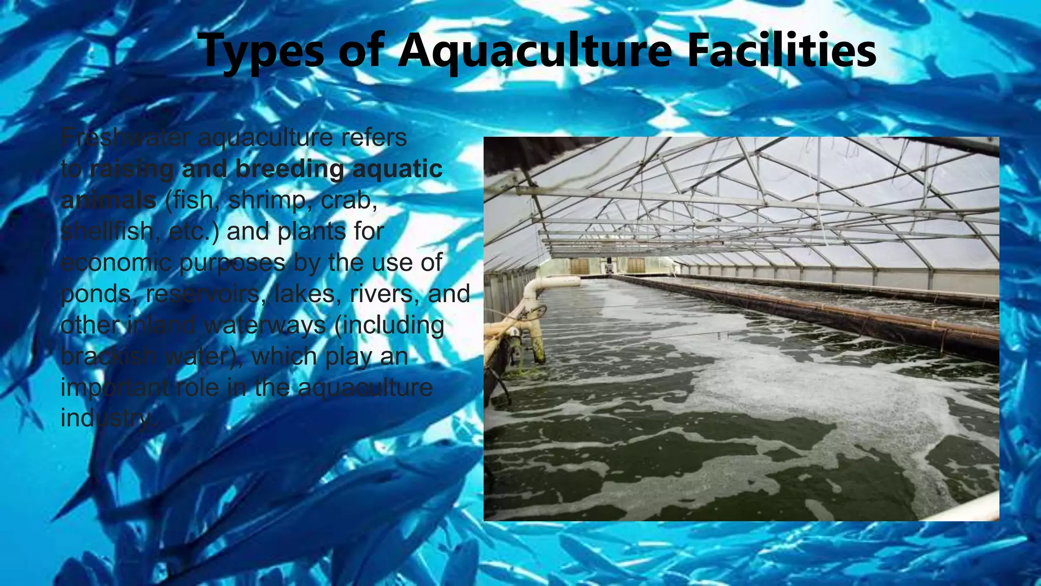 Aquaculture | PPTX