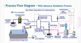 Application Of Ozone & AOP in Aquaculture & Hatcheries - by chemtronics ...