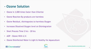 Application Of Ozone & AOP in Aquaculture & Hatcheries - by chemtronics ...
