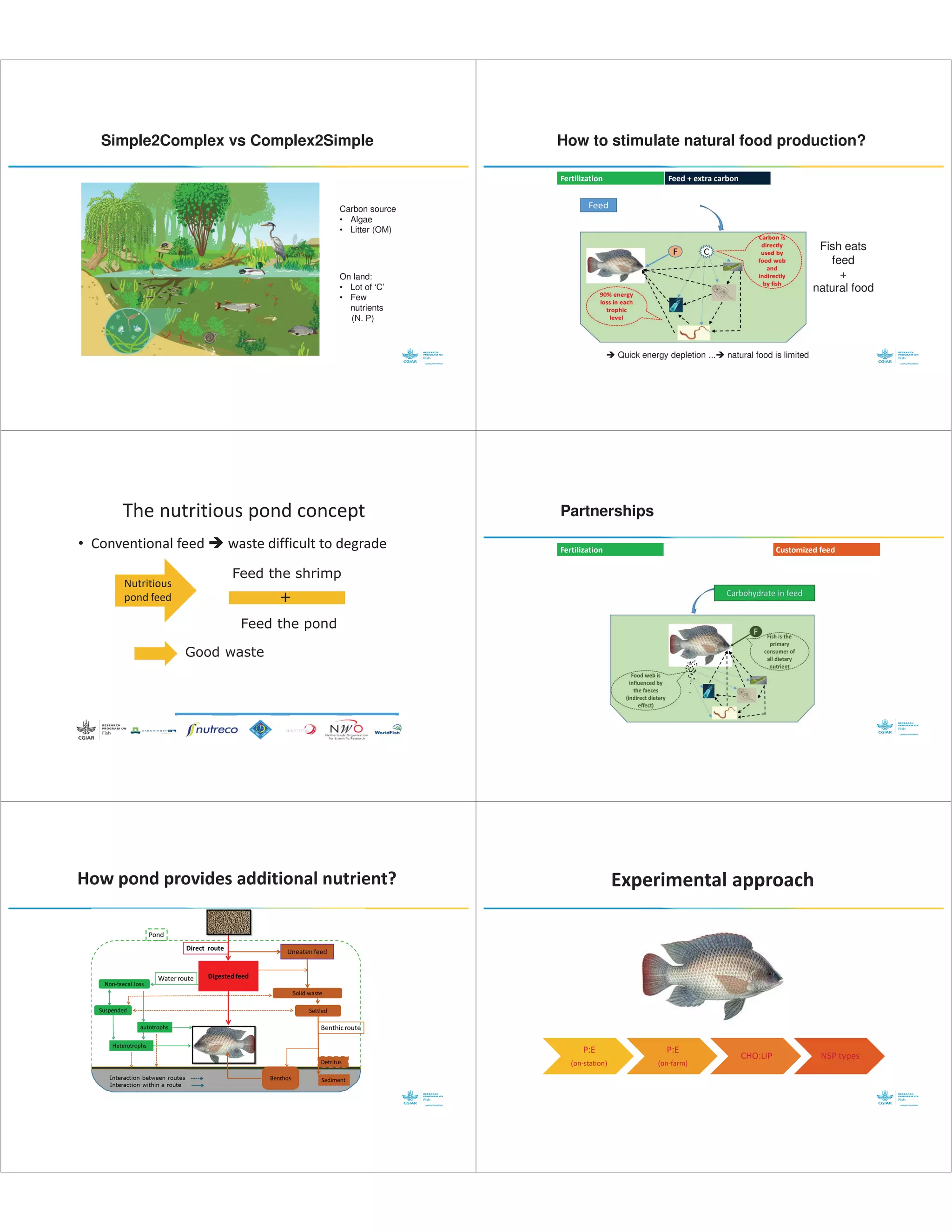 Practical Understanding of Aquafeed Formulation | PDF