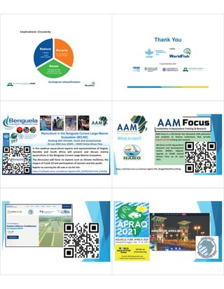 Practical Understanding of Aquafeed Formulation | PDF