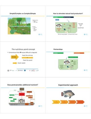 Practical Understanding of Aquafeed Formulation | PDF