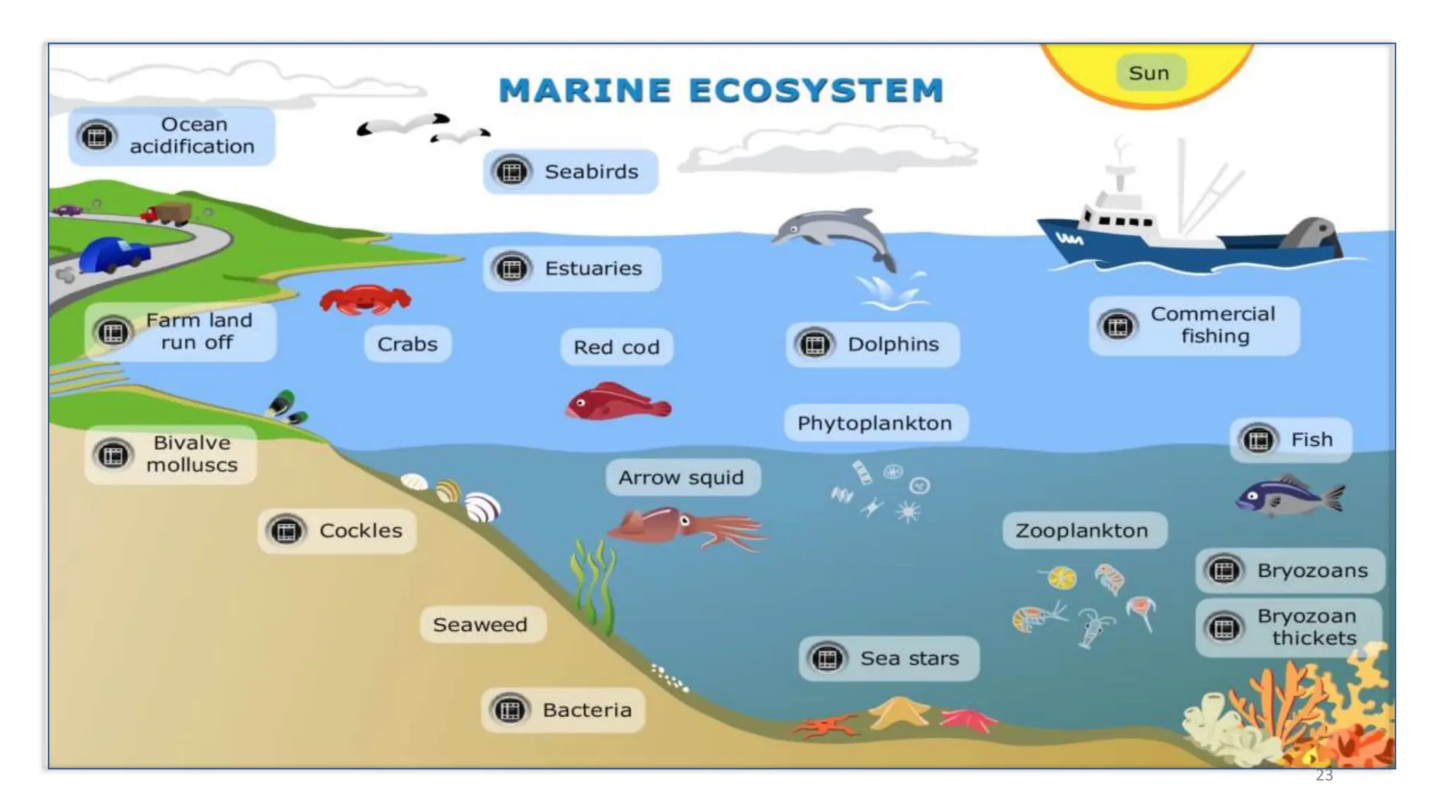 Aquaculture and Ecosystem Relationship.pptx