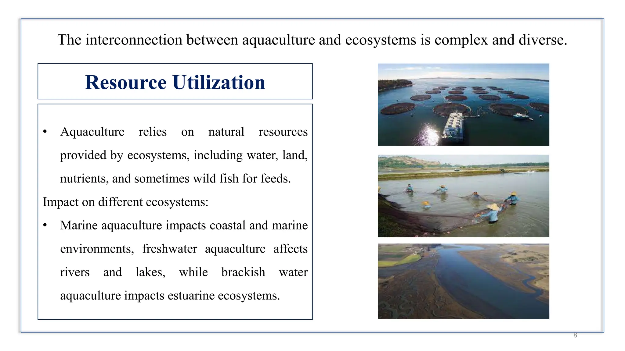 Aquaculture and Ecosystem Relationship.pptx