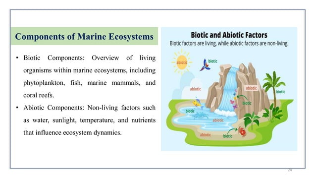 Aquaculture and Ecosystem Relationship.pptx