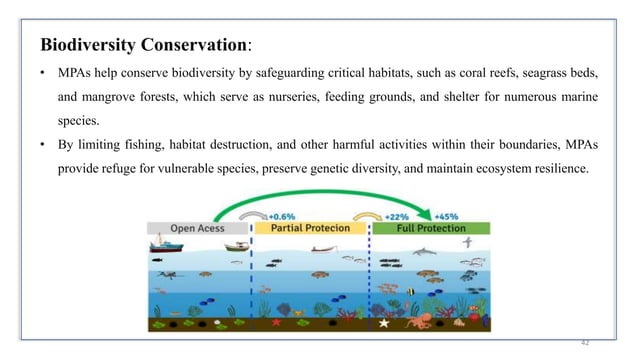 Aquaculture and Ecosystem Relationship.pptx