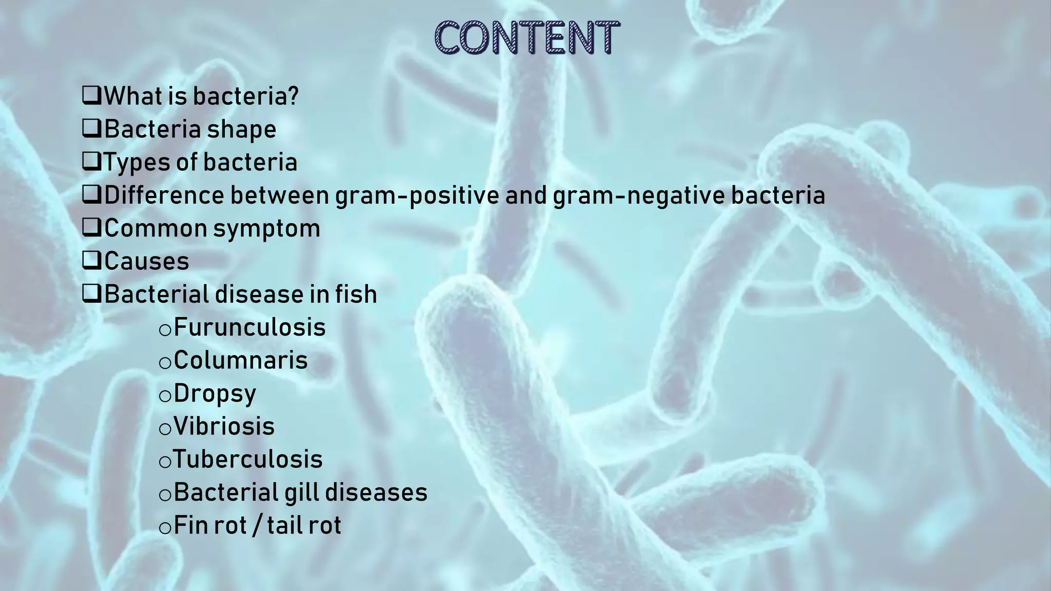 BACTERIAL DISEASE IN FISH.pptx