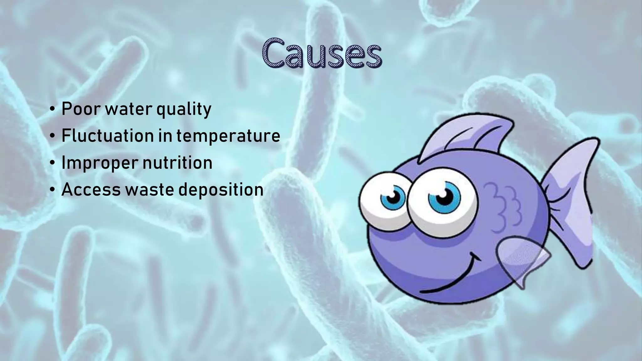 BACTERIAL DISEASE IN FISH.pptx