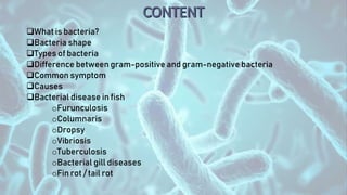 BACTERIAL DISEASE IN FISH.pptx | Veterinary Medicine | Pets