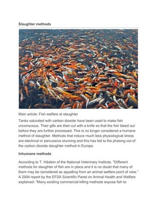 Aquaculture and fish farming | PDF | Agriculture | Industries