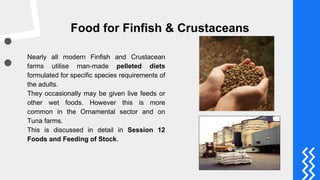 Aquaculture basics module 3 bio requirements | PDF