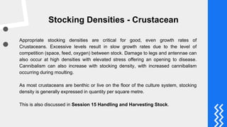 Aquaculture basics module 3 bio requirements | PDF