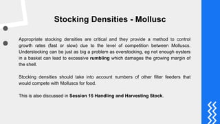 Aquaculture basics module 3 bio requirements | PDF