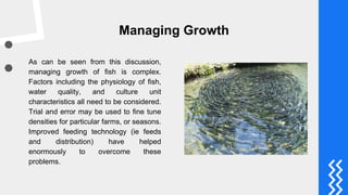 Aquaculture basics module 3 growth | PPT