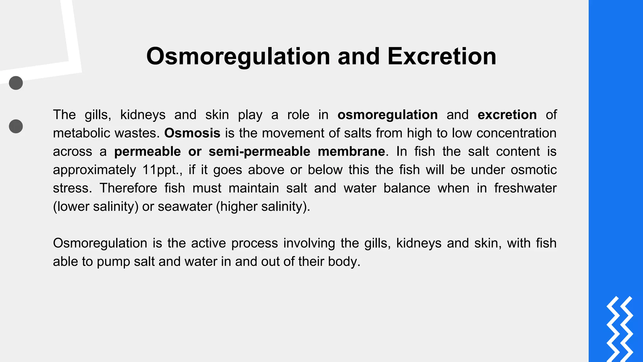 Aquaculture basics module 3 osmoregulation and excretion | PDF