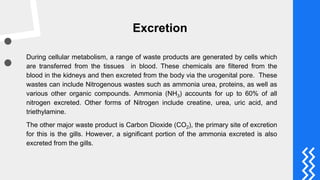 Aquaculture basics module 3 osmoregulation and excretion | PDF