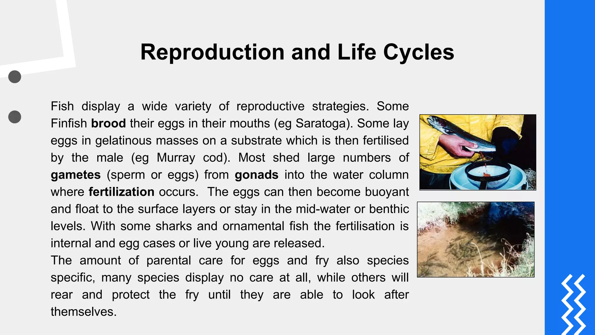 Aquaculture basics module 3 reproduction | PPT