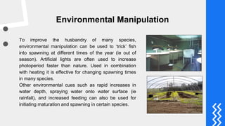 Aquaculture basics module 3 reproduction | PDF