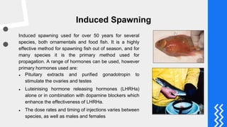 Aquaculture basics module 3 reproduction | PDF | Biological Sciences ...