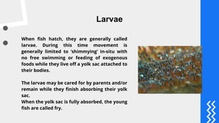 Aquaculture basics module 3 reproduction | PDF