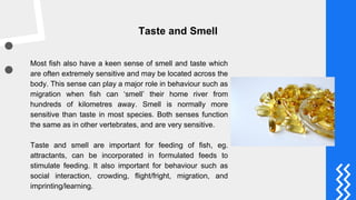 Aquaculture basics module 3 sensory systems | PDF