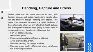 Aquaculture basics module 3 stress | PPT