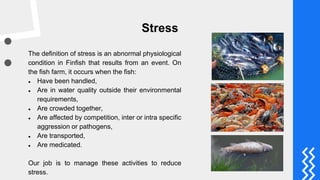 Aquaculture basics module 3 stress | PPT