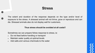 Aquaculture basics module 3 stress | PPT
