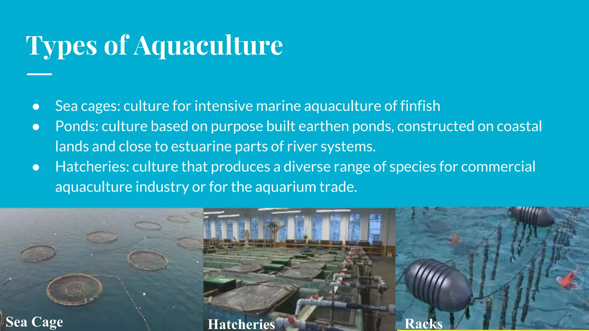 Aquaculture | PDF